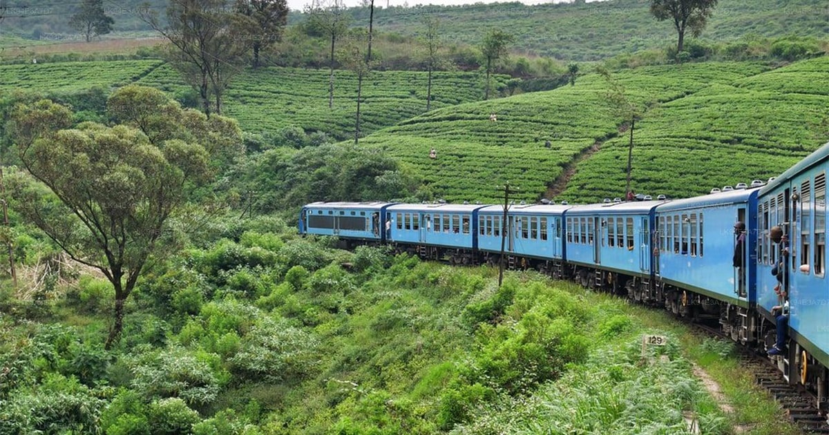 Ella Scenic Train Journey: Reserved E Tickets from Ambewela | GetYourGuide