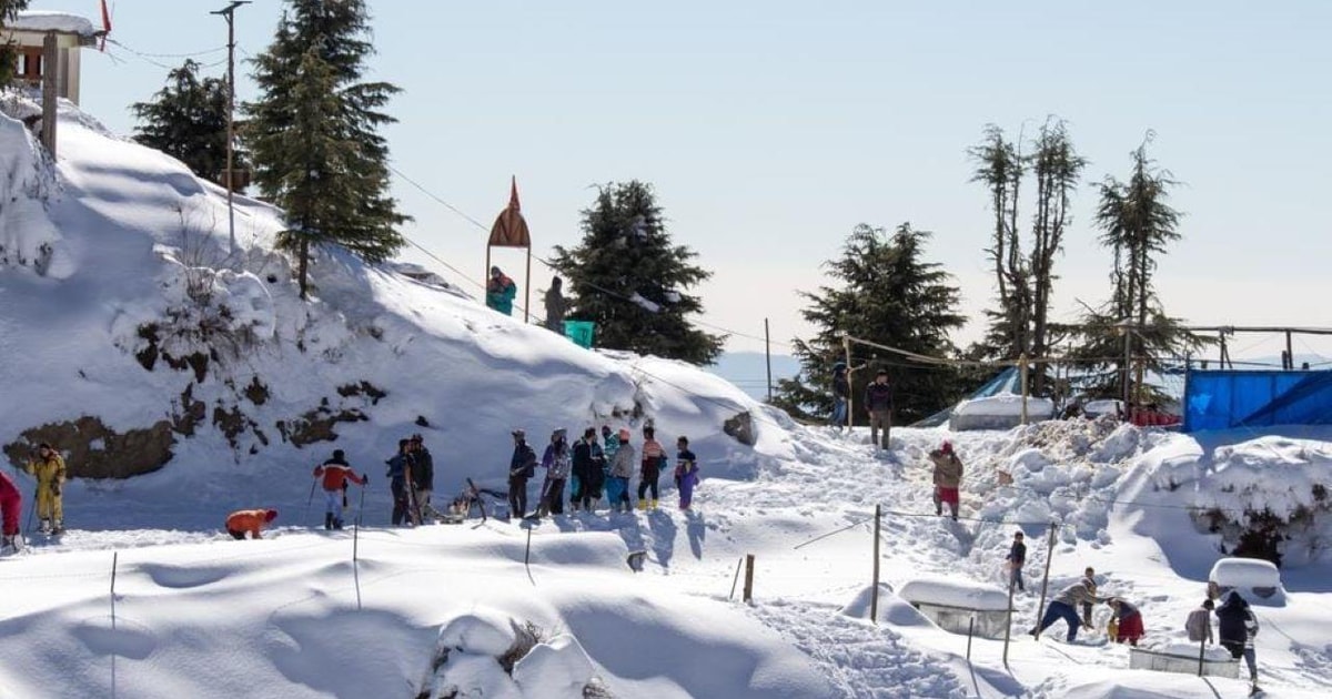 Shimla: Kufri Day Tour with Mahasu Peak & Nature Park | GetYourGuide