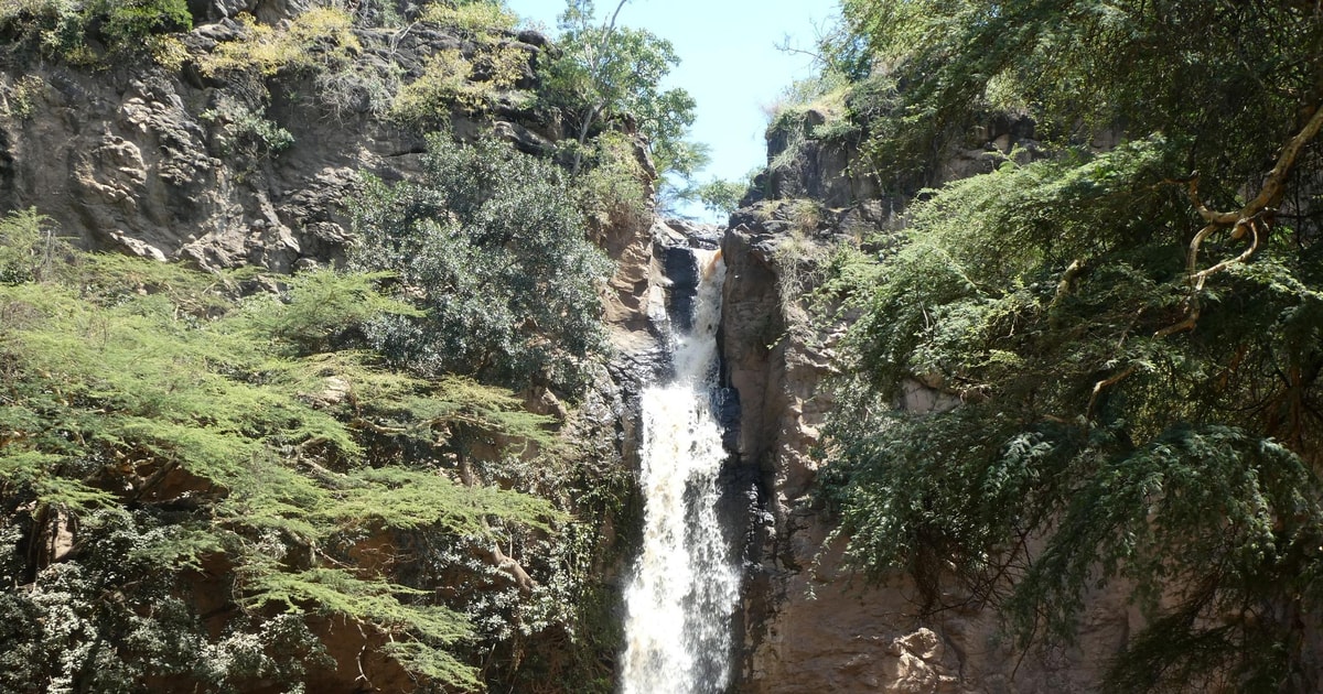 Kenya : Safari de lune de miel de 7 jours avec hébergement | GetYourGuide