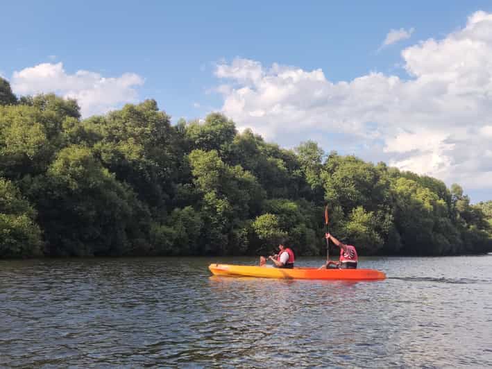 Kayaking in Backwaters of Pondicherry | GetYourGuide
