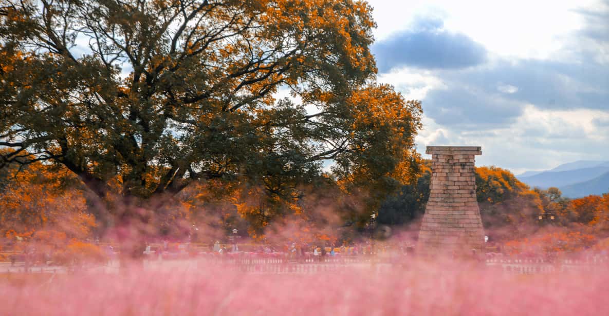 Gyeongju Maple Tour | GetYourGuide