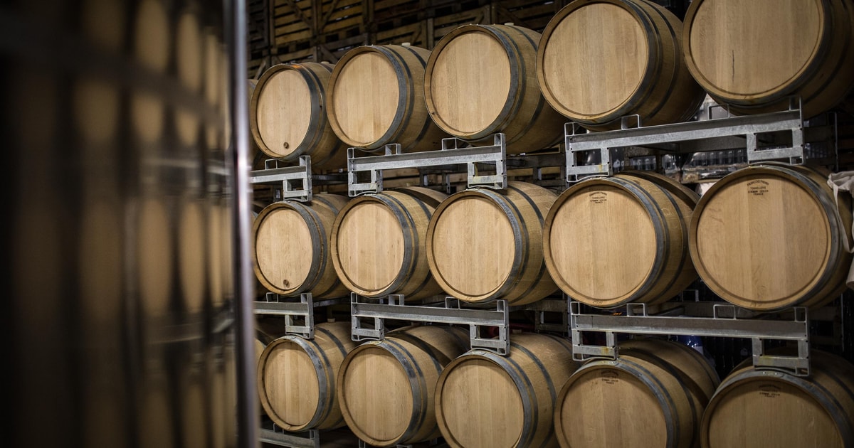 Champagne: English Guided Tour with Harvest Experience | GetYourGuide