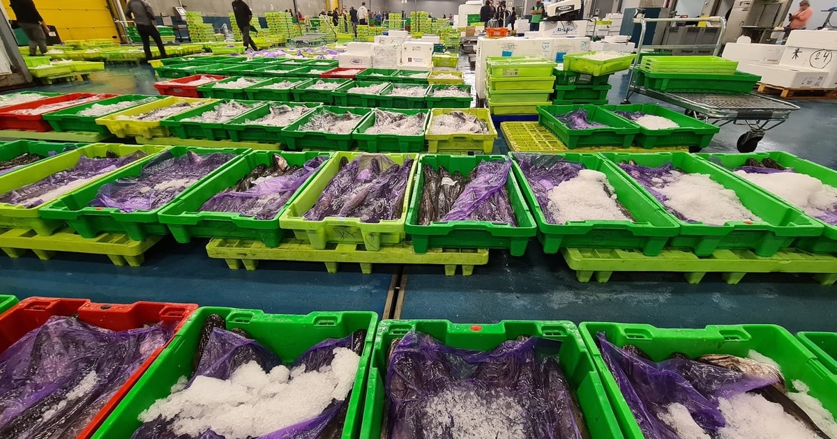 Guided visit to the Pasaia fish market | GetYourGuide