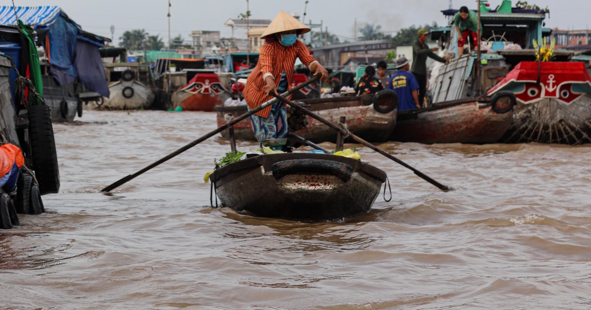 2-Day Mekong Delta Visit Ben Tre & Cai Rang Floating Market | GetYourGuide