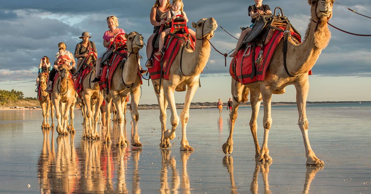 Agadir or Taghazout: Camel ride Experience in River or Beach | GetYourGuide