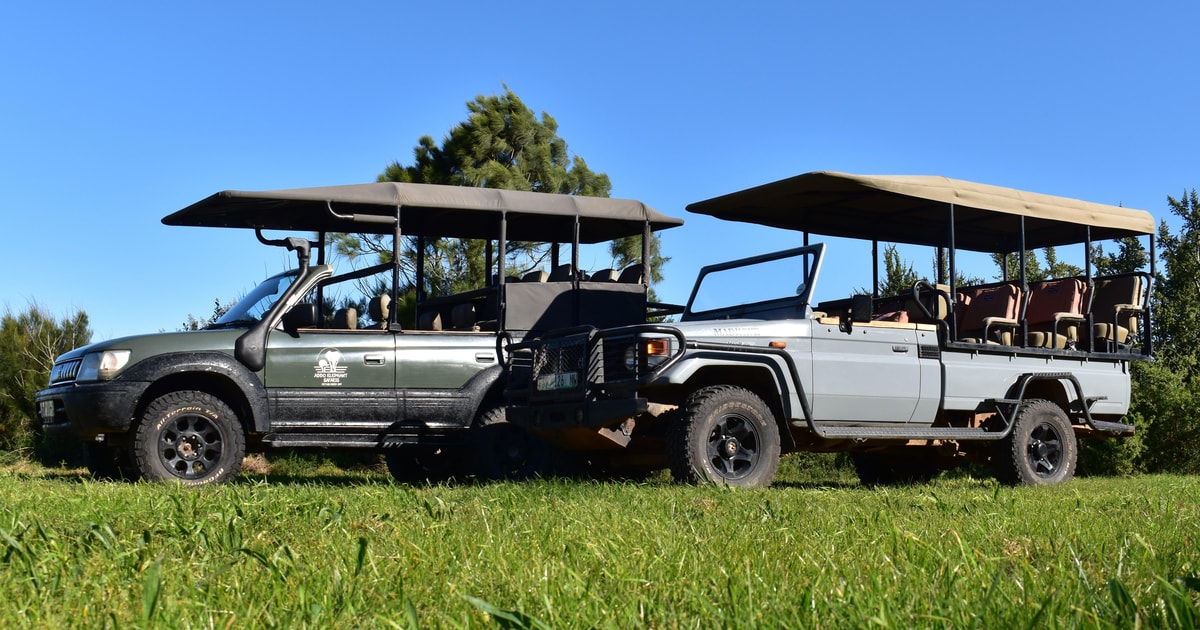 Safari into Schotia Half Day Tour | GetYourGuide