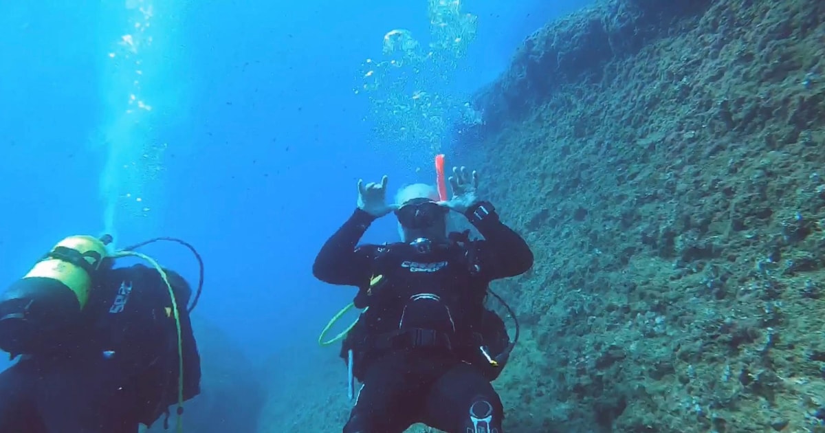 Denia: La fascinación del buceo en la Costa Blanca | GetYourGuide