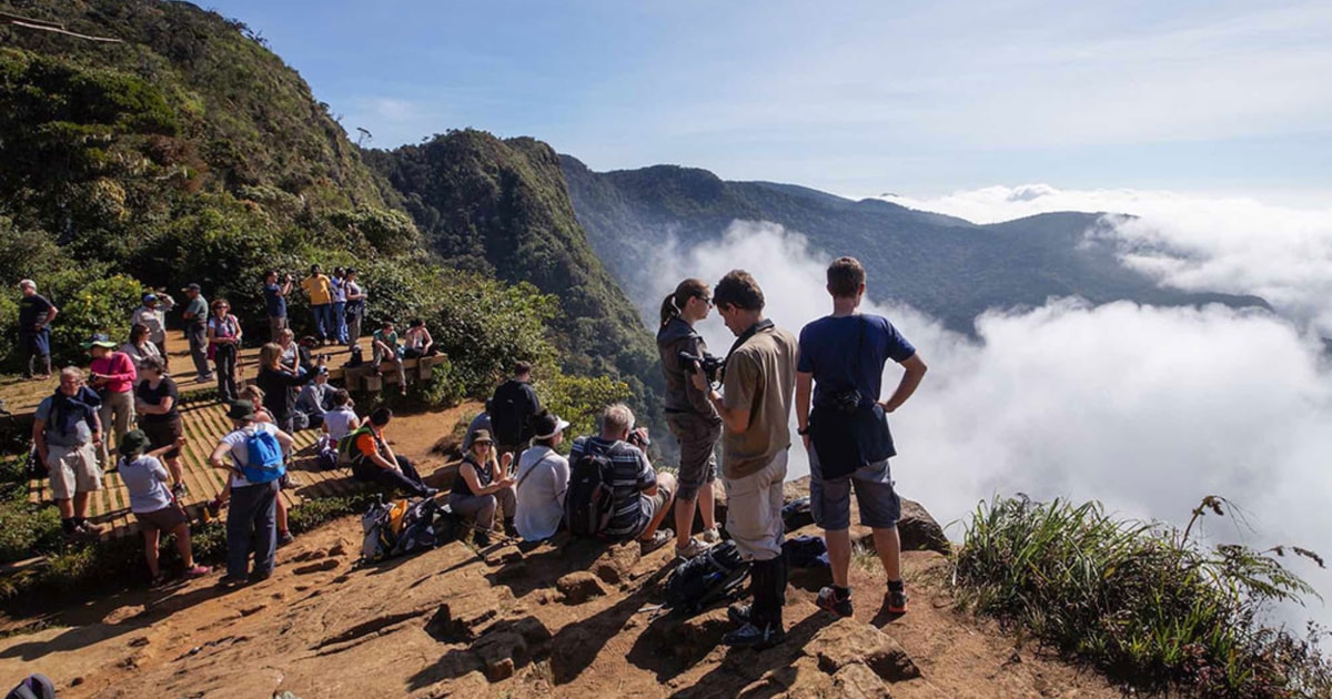 Nuwara Eliya: Cloud Forest Hike with Cliff Views | GetYourGuide