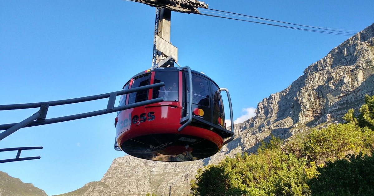 Cape Town: Table Mountain, Boulders Beach, & Cape Point Tour | GetYourGuide