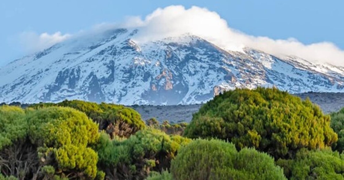 #1. Best Kilimanjaro Day Hike Tour-Machame Route-ISMANI | GetYourGuide