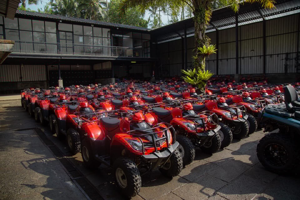 Jungle atv quad bike gorilla cave tandem | GetYourGuide