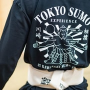 Authentic Sumo Experience in Tokyo : Enter the Sanctuary | GetYourGuide