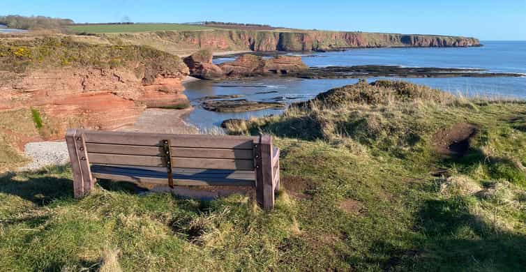 Arbroath: wandeltour met gids langs de Seaton Cliffs met geoloog ...