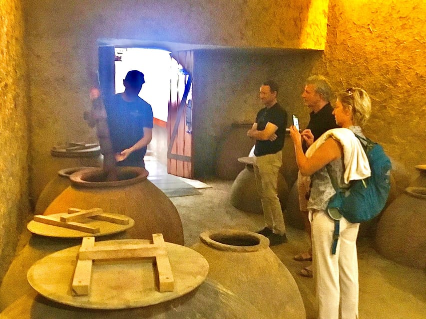 Horseback riding, Penguins, Winery, Alpacas & Cowboy BBQ | GetYourGuide