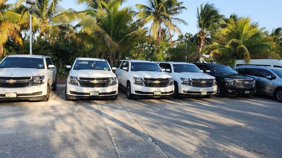 Tulum: Holbox Adası'na Özel Transpotasyon | GetYourGuide
