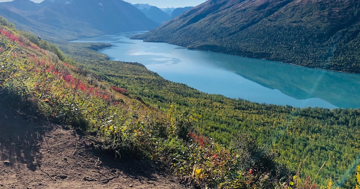 Beautiful nature around Anchorage Waterfall, Lake, Mountains | GetYourGuide