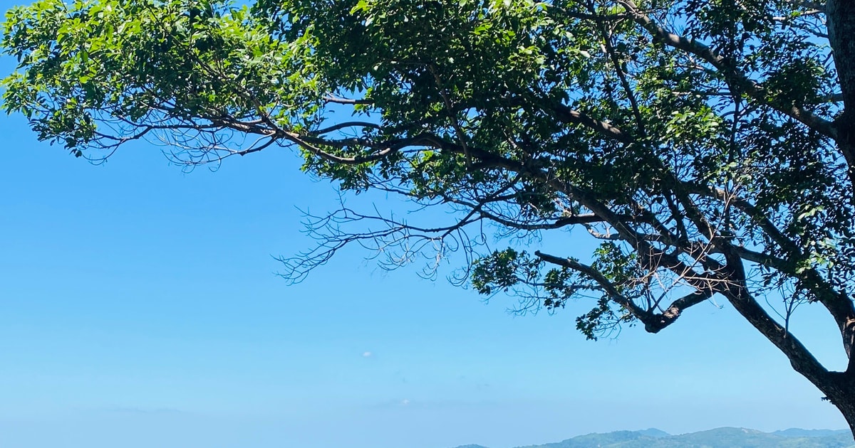 Phuket: Half-Day City Tour with Big Buddha and Old Town | GetYourGuide