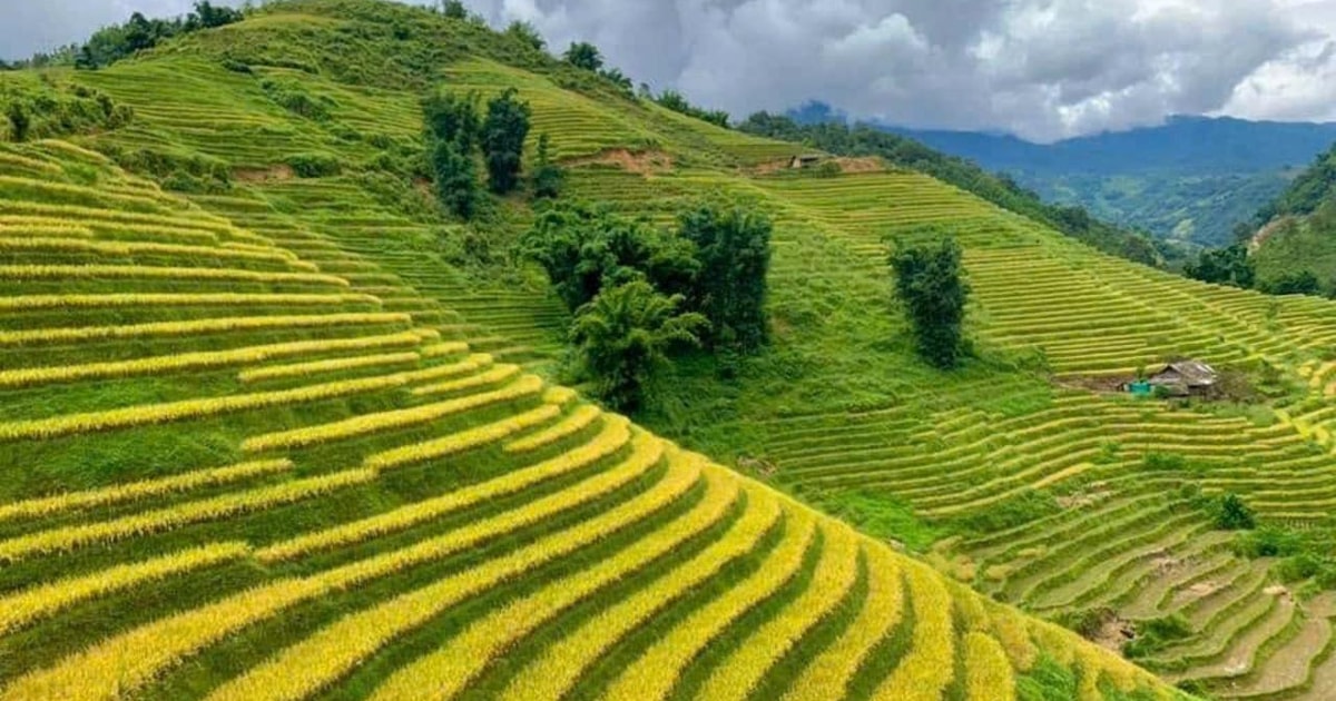 Au départ de Hanoi : 3 jours de trekking à Sapa et visite du marché de ...