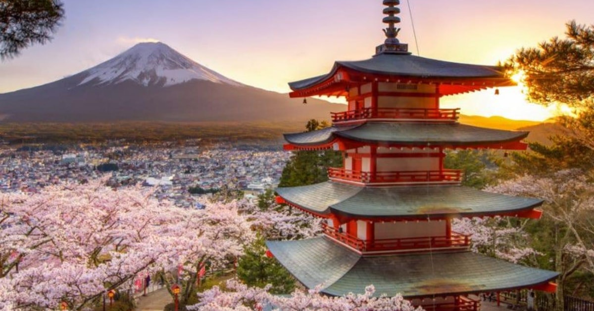 Z Tokio: Góra Fuji i Hakone - prywatna wycieczka 1-dniowa | GetYourGuide