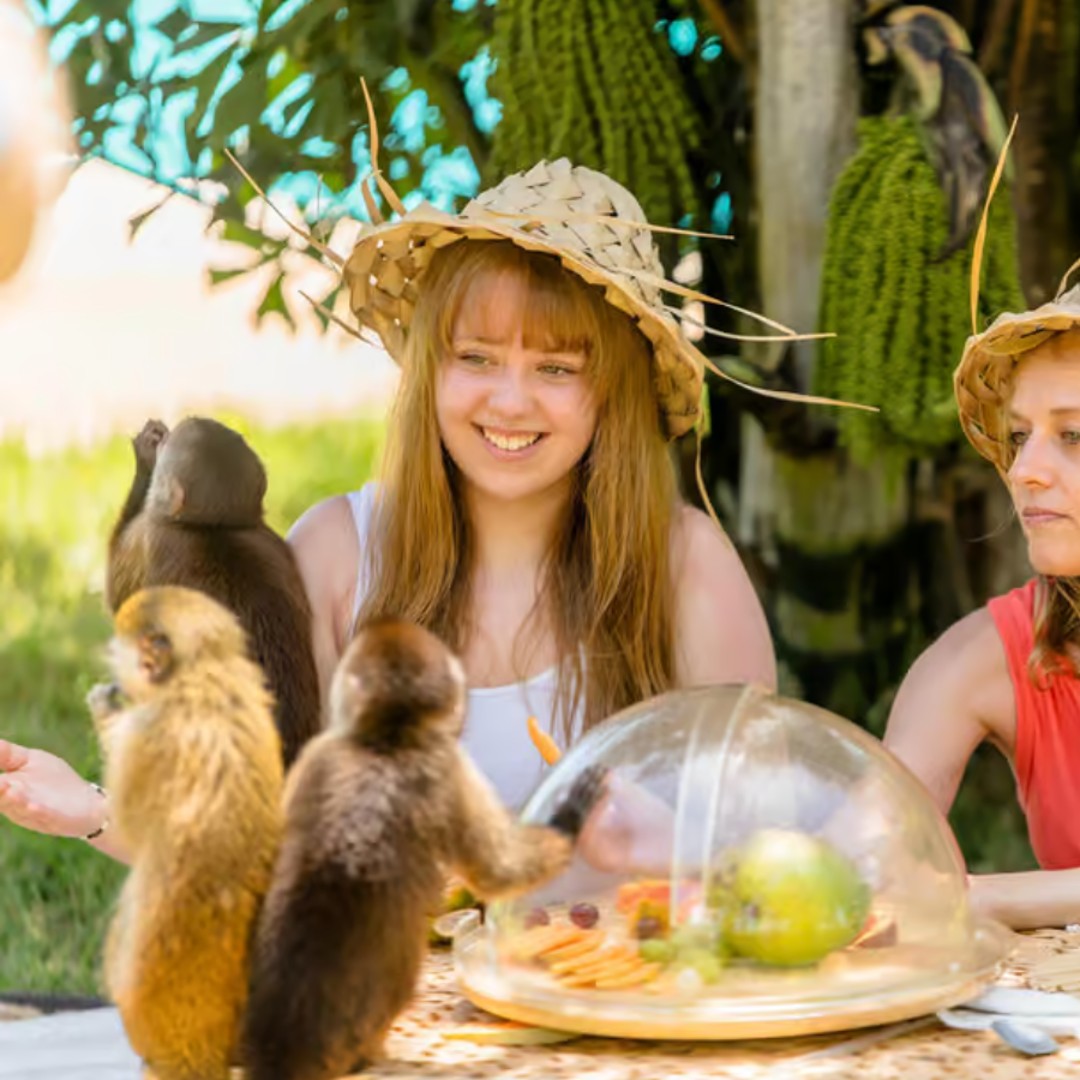 Punta Cana: visita di mezza giornata a Monkeyland (tutto incluso ...