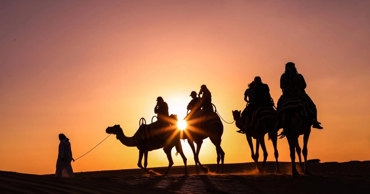 Doha: Nachtsafari in de woestijn met kamelenrit en sandboarden ...