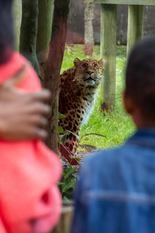 Leicestershire: Twycross Zoo Entry Ticket | GetYourGuide