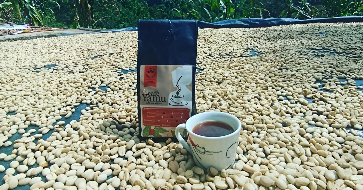 Coffe Tour: Land Rover Adventure, with Harvest and Tasting. | GetYourGuide