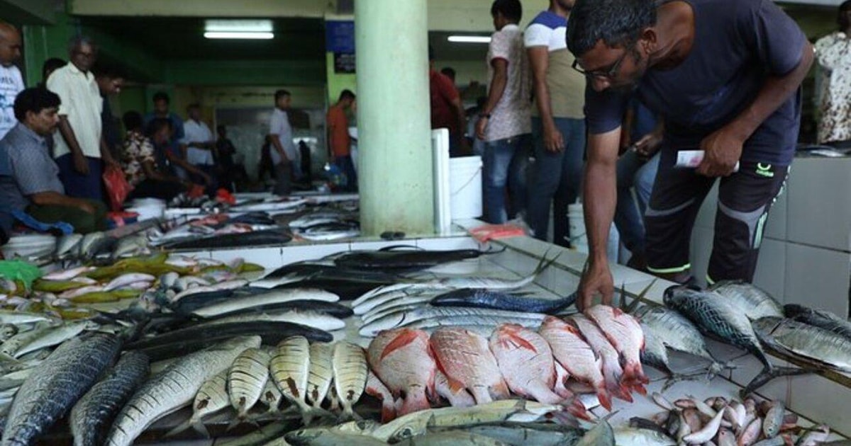 Malediven: Privater Stadtrundgang in Male mit Optionen | GetYourGuide