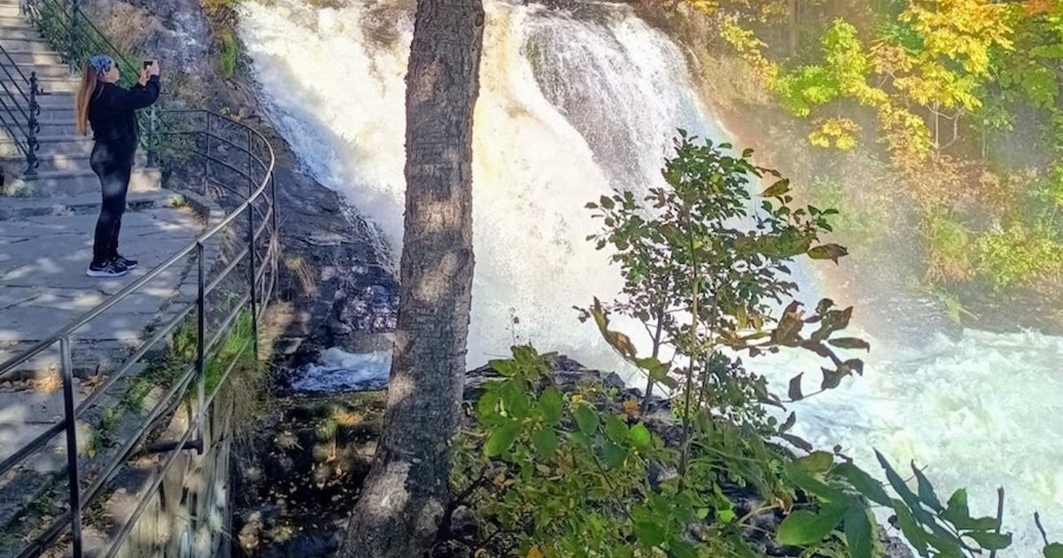 Oslo: Private Akerselva River Walk | GetYourGuide