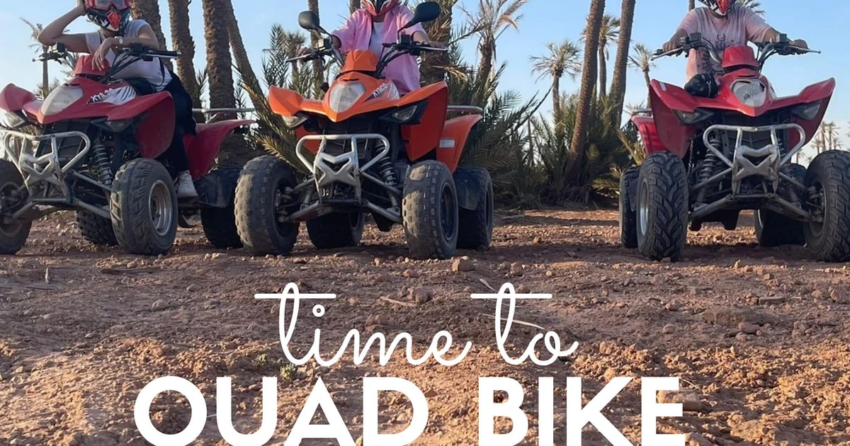 Marrakech Quad Bike Adventure : Desert and Palmeraie | GetYourGuide