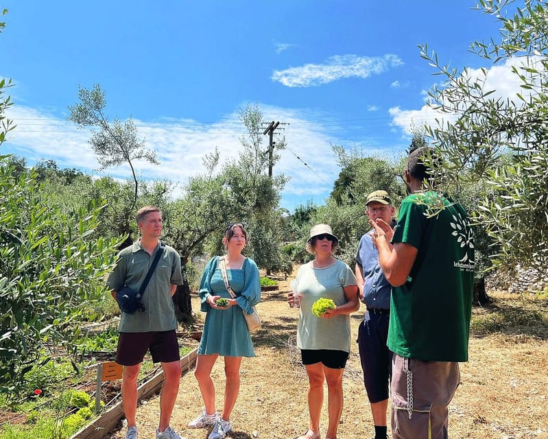 The Olive Oil Experience @ Lefkada Micro Farm | GetYourGuide