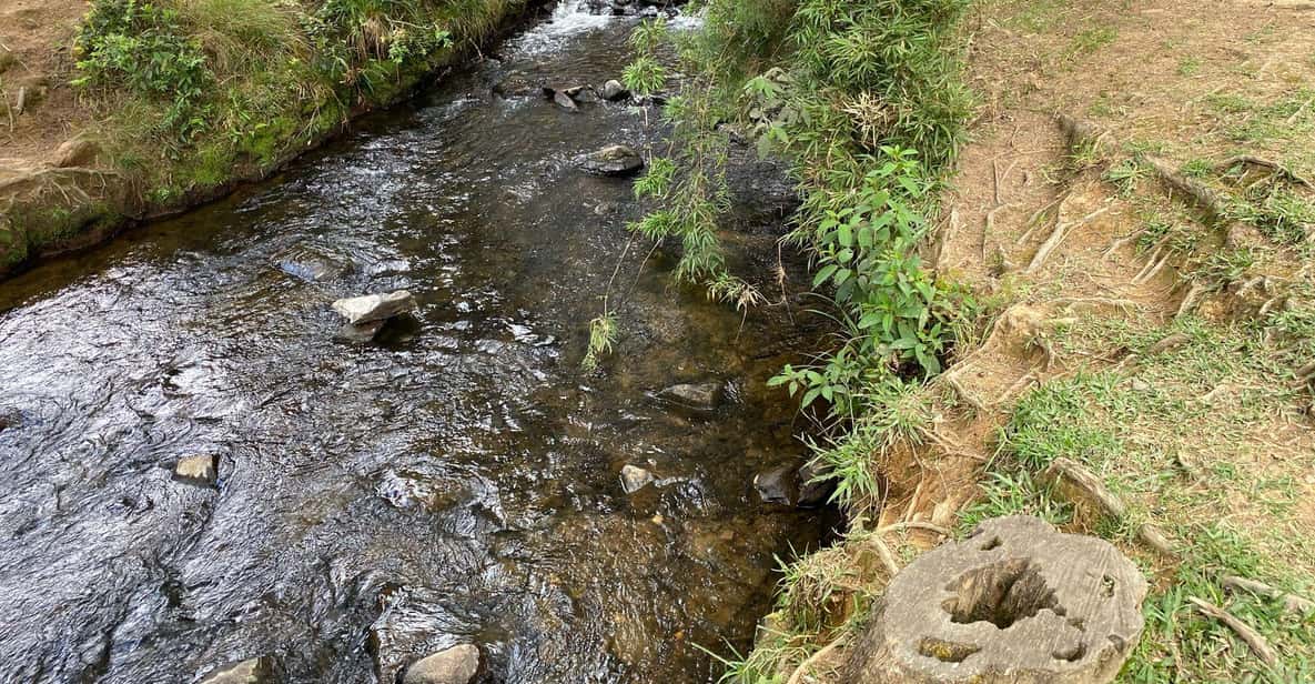 Natuurlijk Medellin: Botanische tuin, Arví Park, El Volador Heuvel en ...