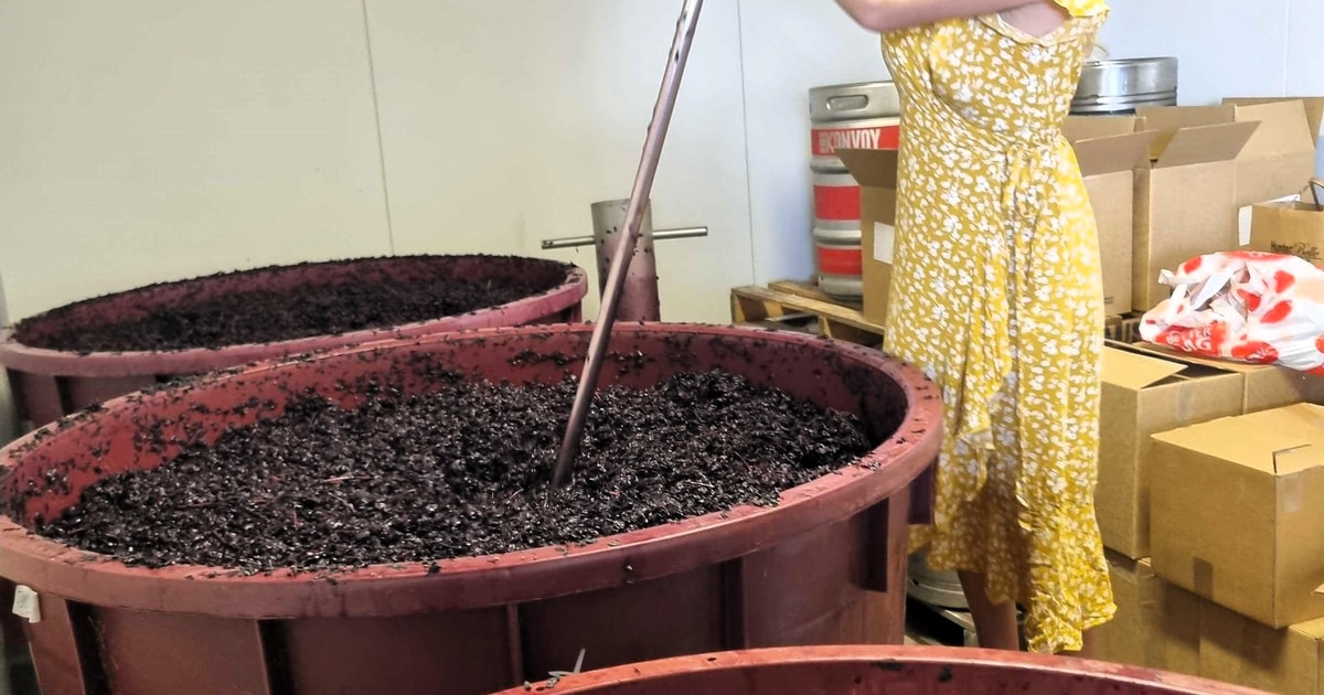 Da Sydney: Tour della Hunter Valley con degustazioni di vini, gin e ...