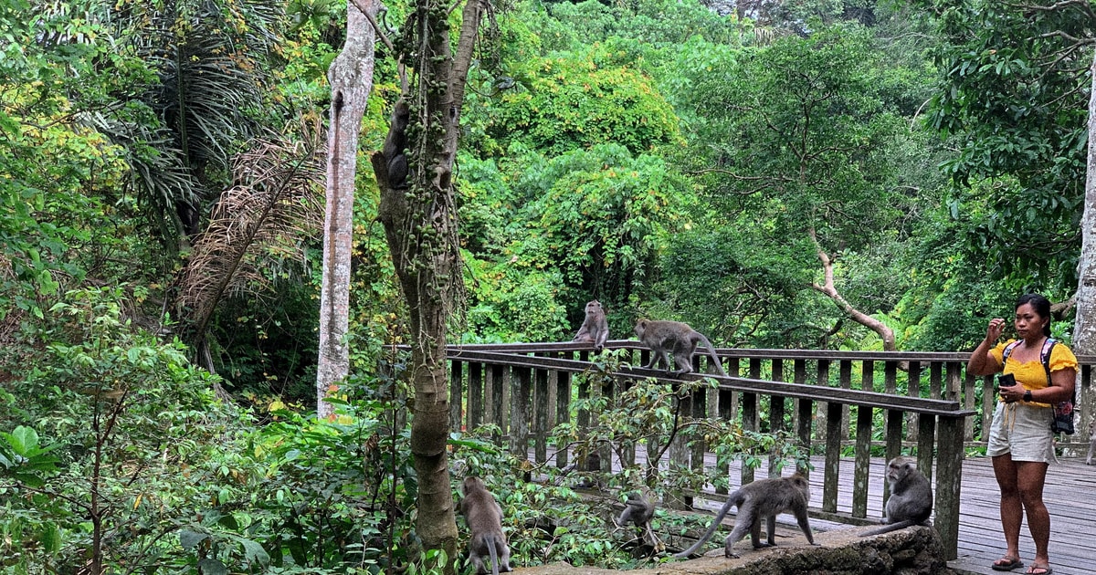 Ubud: Foresta delle scimmie, cascate e terrazze di riso: tour guidato ...