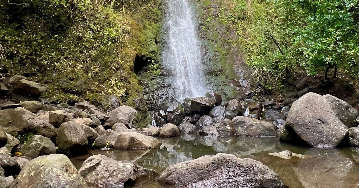Hike - Dip in the Waterfall, Rainforest Trails (Pick up) | GetYourGuide