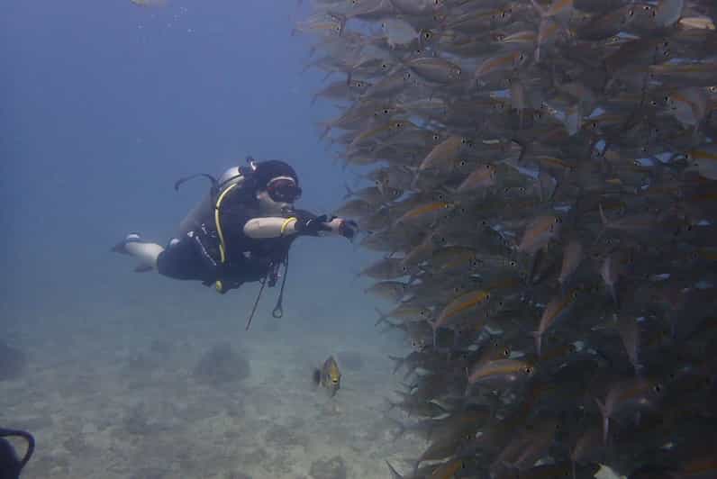 Koh Samui: Diving and Snorkeling for all levels and ages. Book now ...