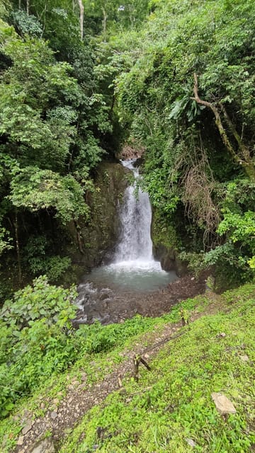 Guided Tour to the Waterfalls of Filipina in Sora | GetYourGuide