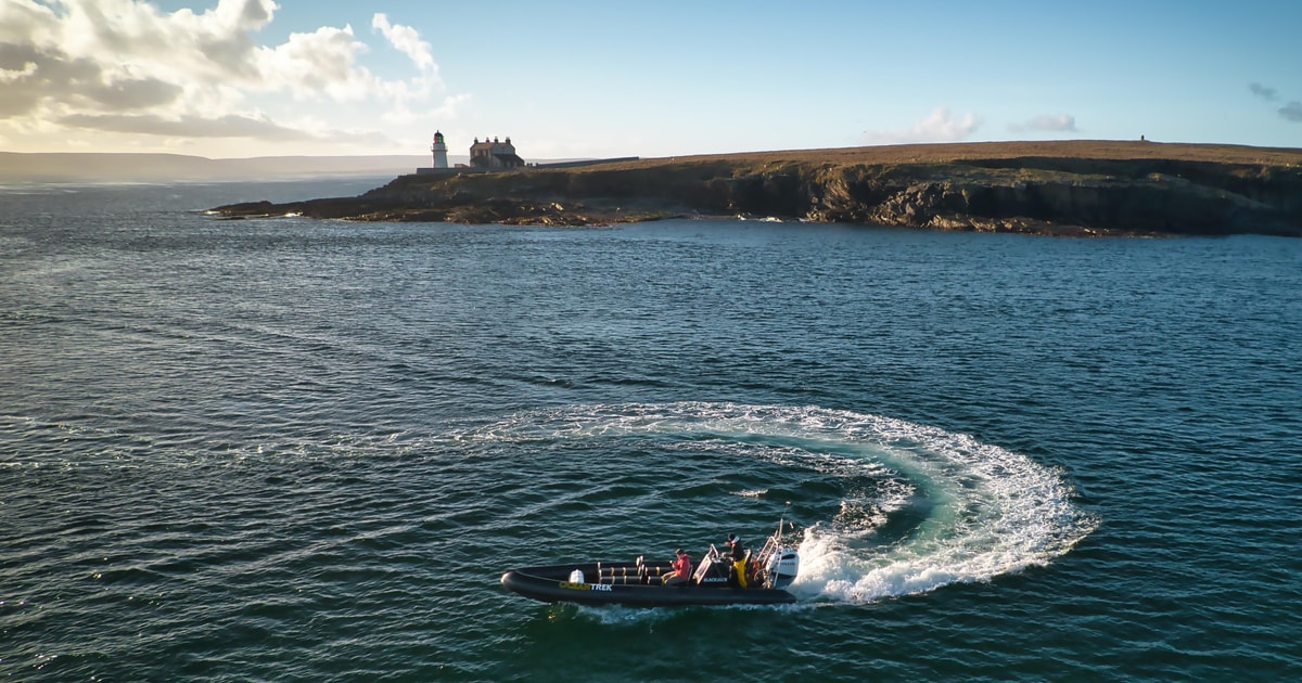 Oban: Historical and Wildlife Boat Cruise | GetYourGuide
