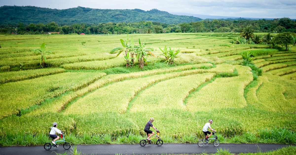Merapi Volcano Bike Tour | GetYourGuide
