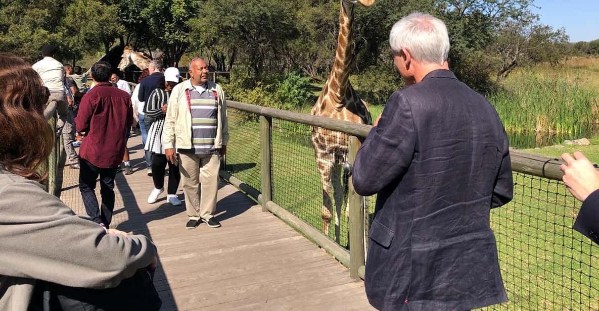 Johannesburg: Elephant, Horse Riding, and Lion Safari Tour | GetYourGuide