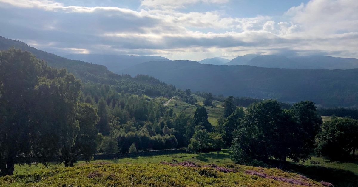 From Edinburgh: A Taste of the Highlands Private Tour | GetYourGuide