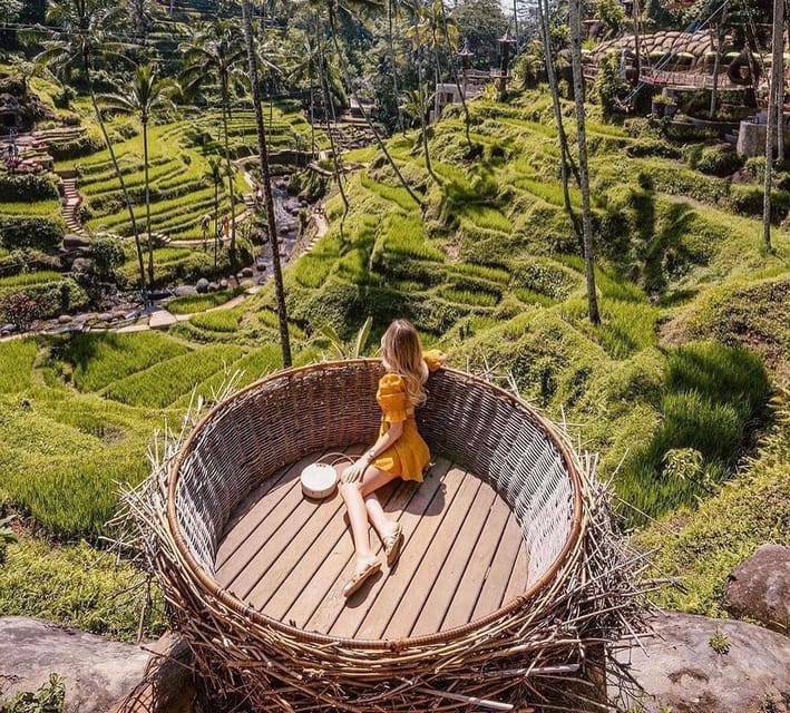 Classic Ubud: Monkey Forest, Tegallalang, Tirta Empul Temple | GetYourGuide