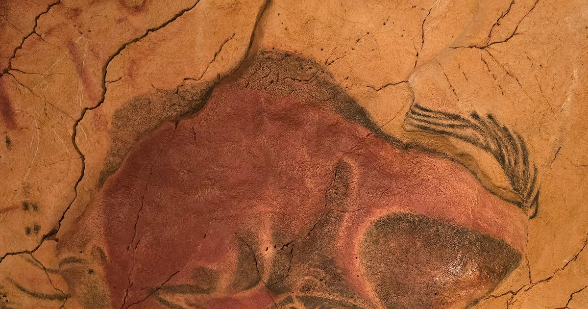 Private Führung durch das Altamira Museum und die Neocave: die ...