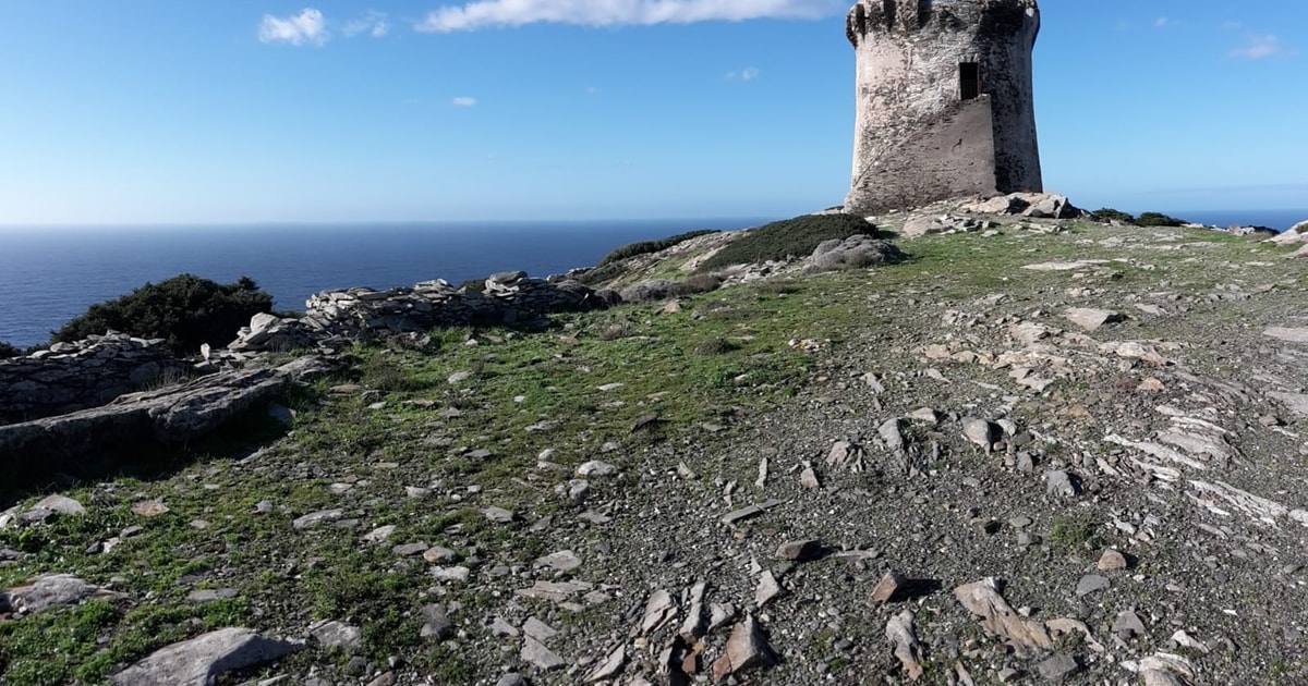 Stintino: Trekking Tour in Capo Falcone | GetYourGuide