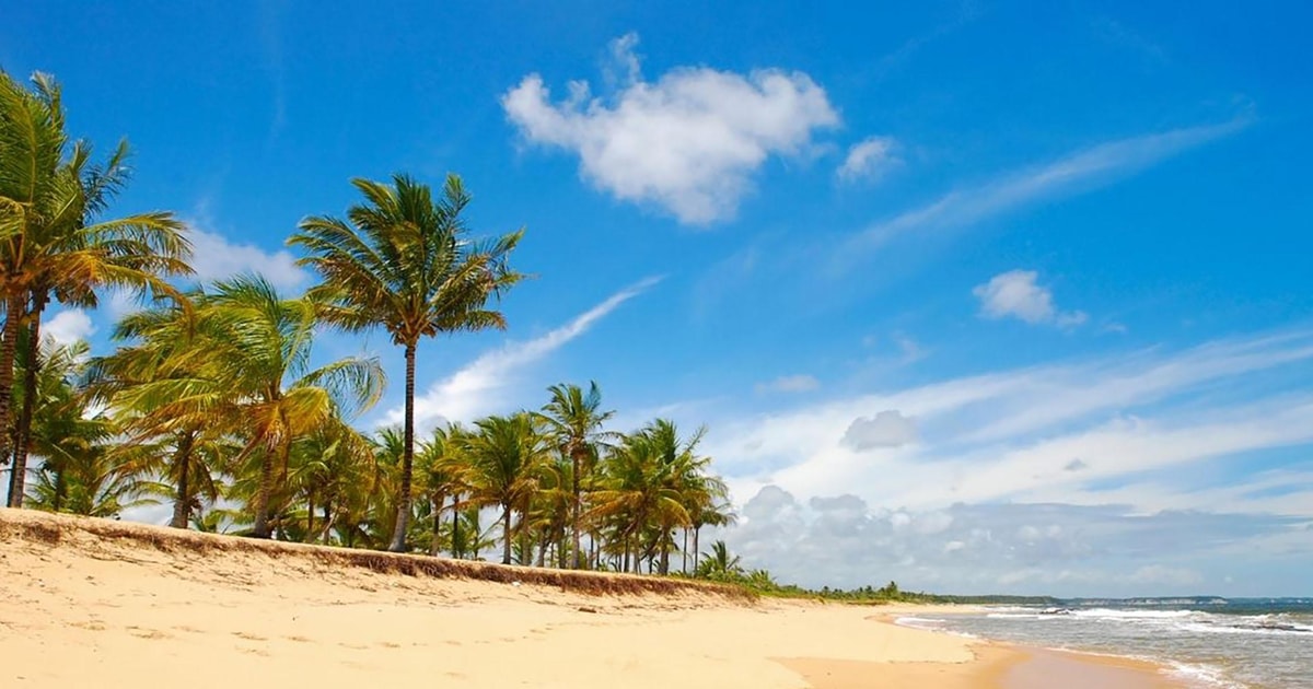 Descubra Caraíva: Tour guiado - Praias de Porto Seguro | GetYourGuide