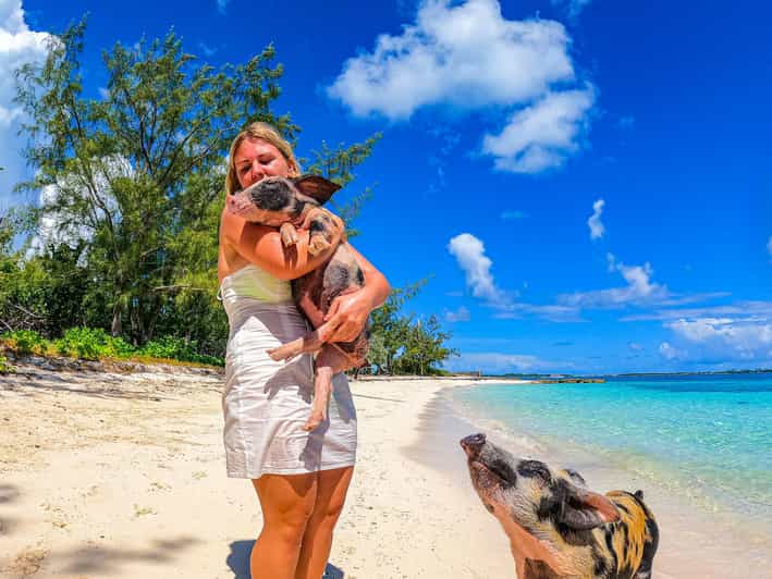 Nassau: Sun Cay and Swimming Pigs Boat Trip with Lunch | GetYourGuide