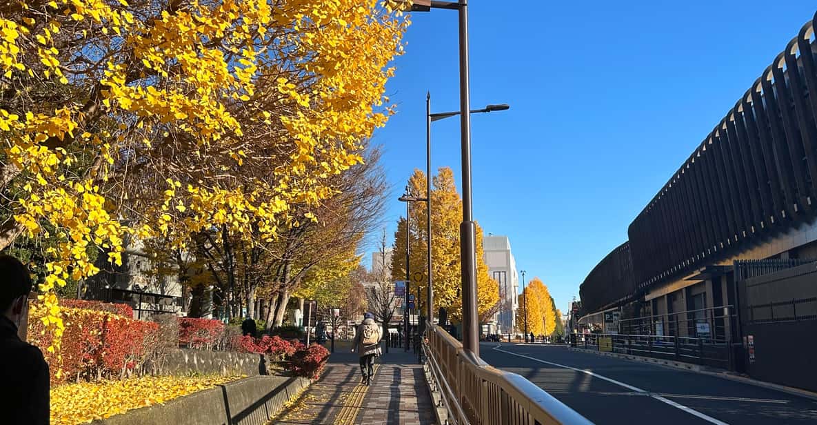 Tokyo: Temples, Street Eats, and Neon Secrets Guided Tour | GetYourGuide