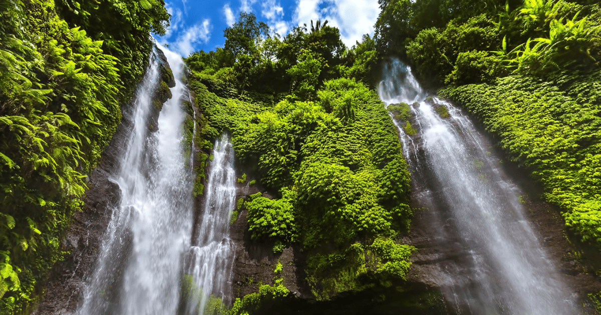 Bezaubernde Bali adv : Sekumpul und Fidschi-Wasserfall-Expedition ...