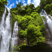 Enchanting Bali adv : Sekumpul and Fiji Waterfall Expedition | GetYourGuide