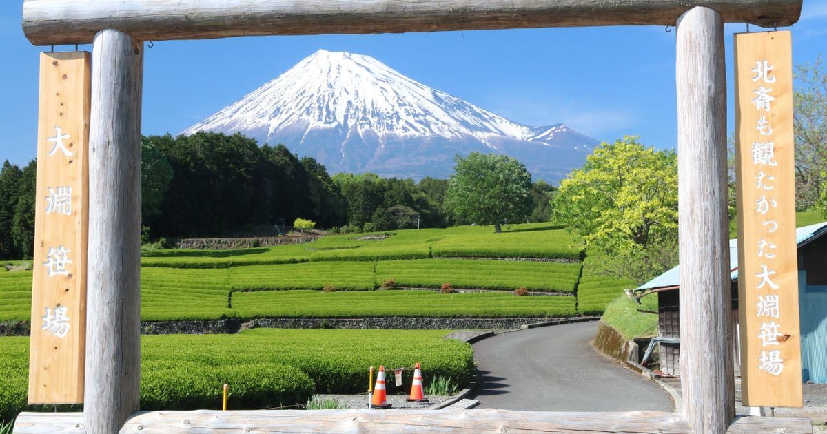 Gita di 1 giorno di lusso sul Monte Fuji con Shinkansen + auto privata ...